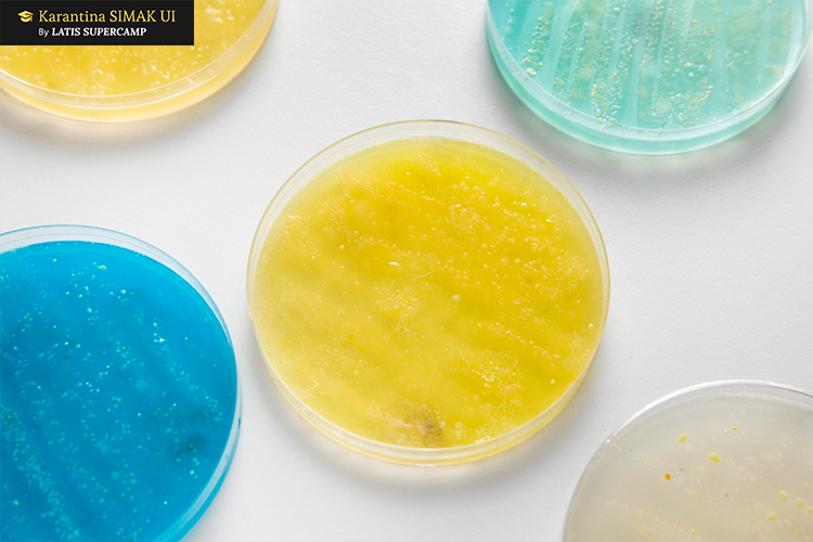 Definisi Koloid Serta Manfaat dan Penggunaan di Berbagai Industri